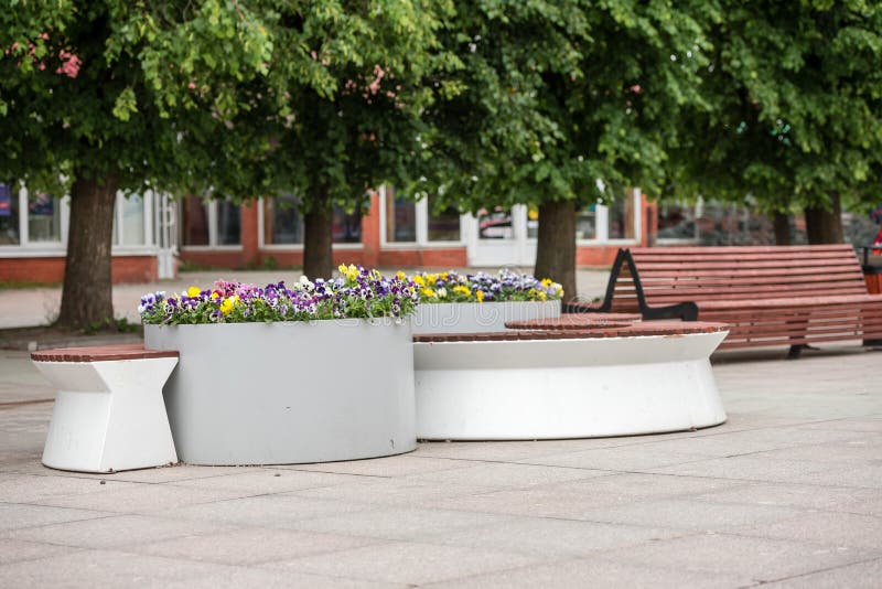 Empty City Square with a Bench and Flower Beds Stock Photo - Image of ...