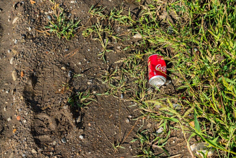 Coca Cola Can Litter Stock Photos - Free & Royalty-Free Stock Photos ...