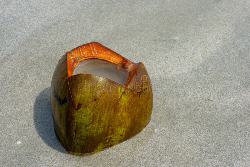 Empty Coconut Left Beach Stock Photos - Free & Royalty-Free Stock ...