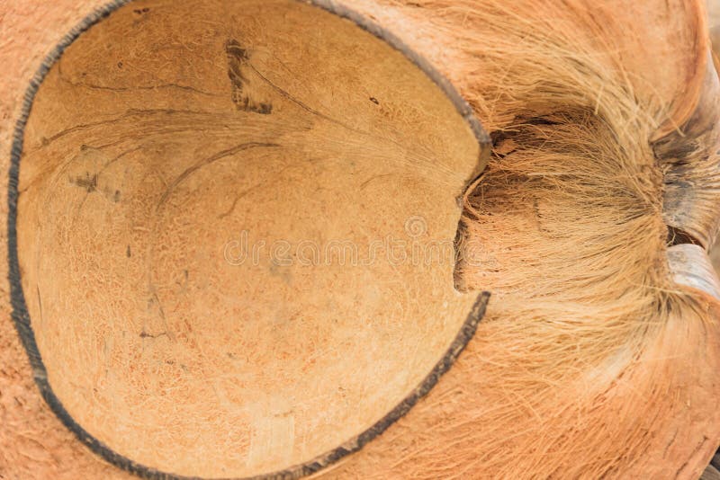 Empty Coconut Shell Background. Selective Focus Stock Image - Image of ...