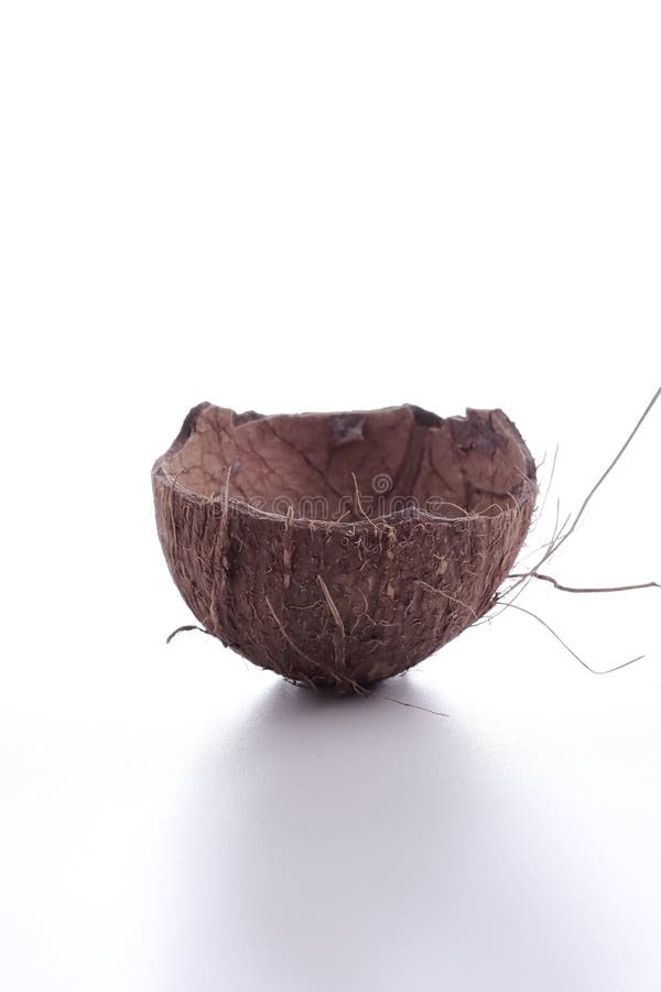 823 Coconut Empty Shell Stock Photos - Free & Royalty-Free Stock Photos ...