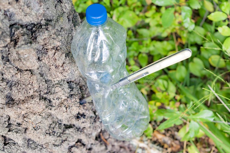 Empty Compressed Plastic Bottle Nailed To a Tree Stock Image - Image of ...