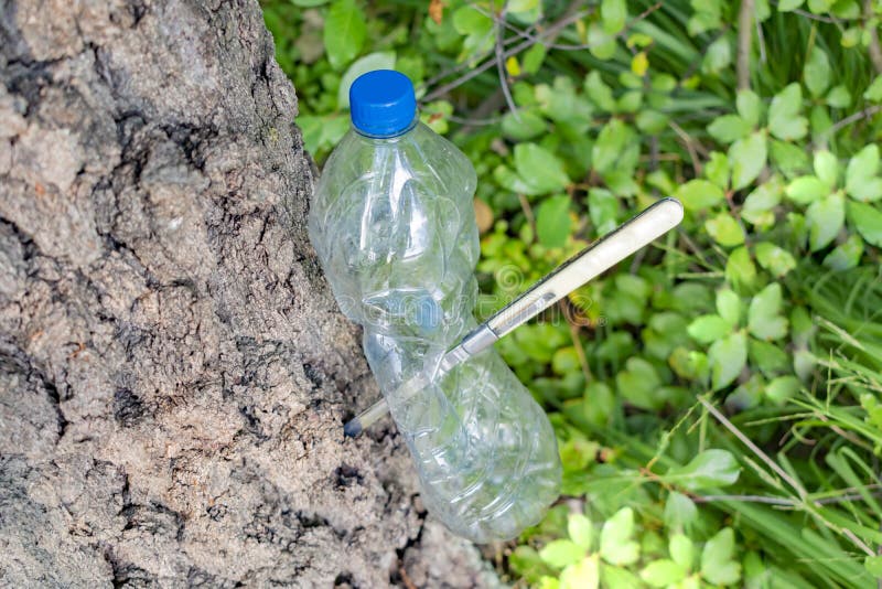 An Empty Compressed Plastic Bottle is Nailed To a Tree Stock Photo ...