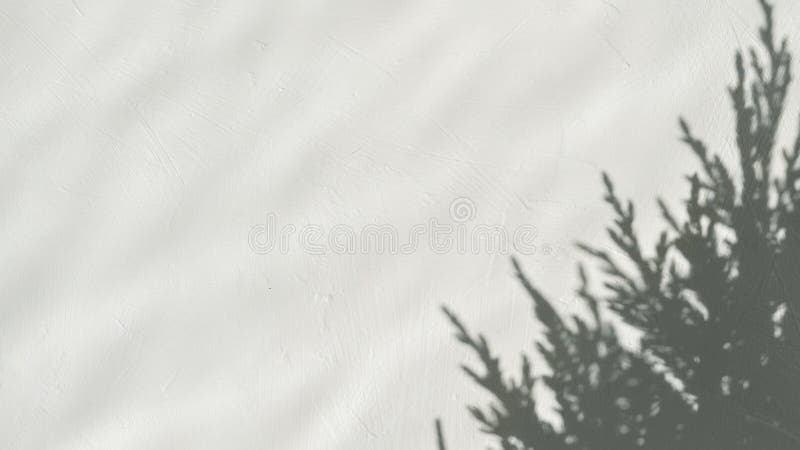 Empty Concrete Textured Neutral Wall Background with Sunlight Shadow ...