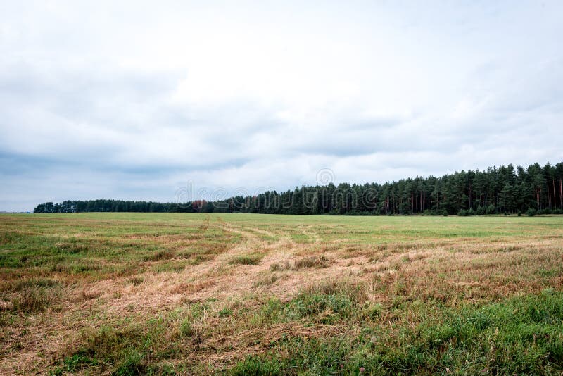 Empty Country Field and Forest Stock Image - Image of trees, nature ...