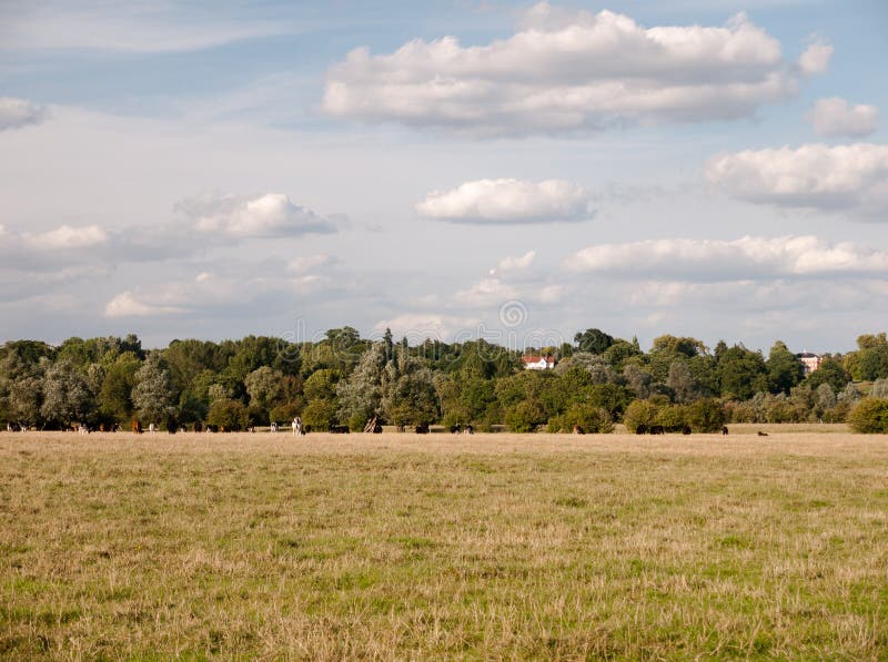 Empty Wet Grass Field Low Light Sunset Landscape Dedham Plain Em Stock ...