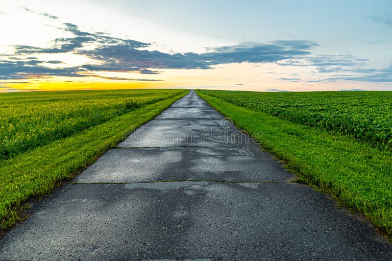 Empty Country Road in the Evening after the Rain Stock Image - Image of ...