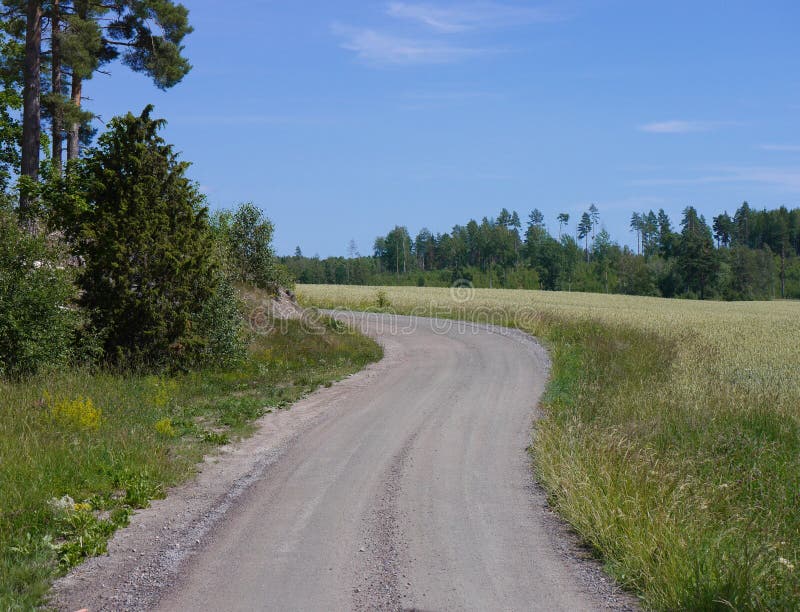 An Empty Country Road by Fields Stock Image - Image of aerial, country ...