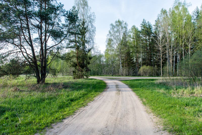 Empty Country Road in Forest Stock Photo - Image of beautiful, mist ...