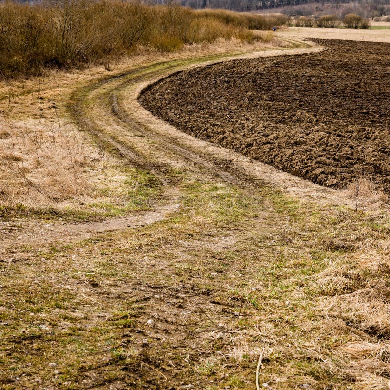 Empty Country Road in Forest Stock Photo - Image of countryside, fast ...