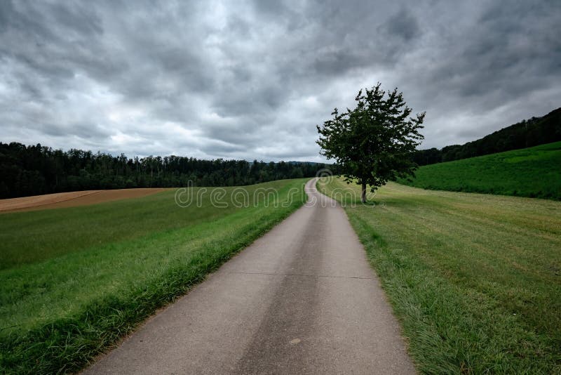 An Empty Country Road through the Green Fields Stock Image - Image of ...