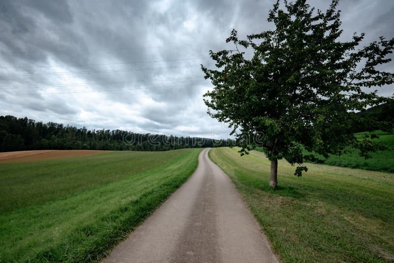 An Empty Country Road through the Green Fields Stock Photo - Image of ...
