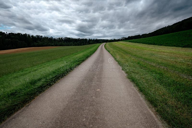 An Empty Country Road through the Green Fields Stock Photo - Image of ...