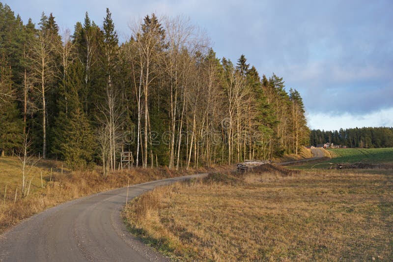 A Empty Country Road Next To a Field Stock Image - Image of track, path ...
