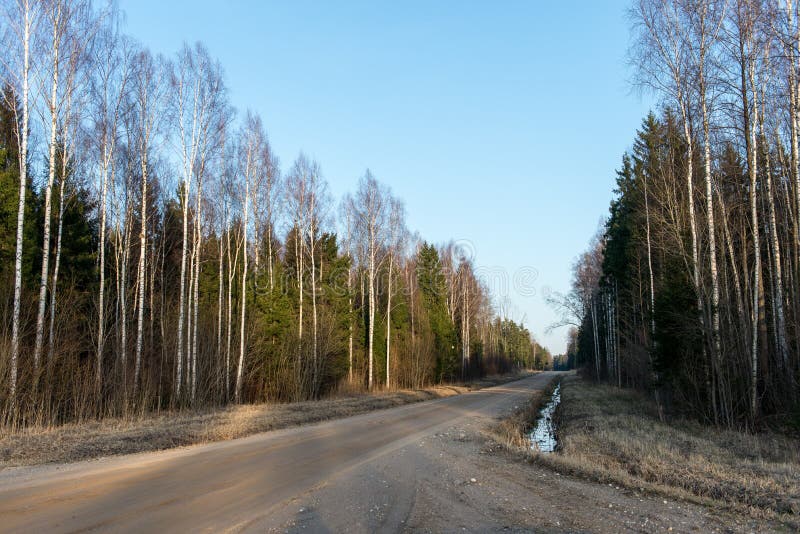 Empty country road stock image. Image of perspective - 51253497