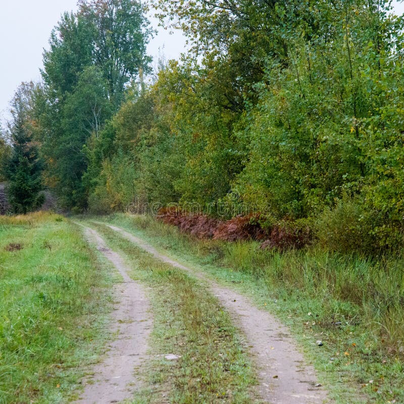 531 Empty Stock Movement Stock Photos - Free & Royalty-Free Stock ...