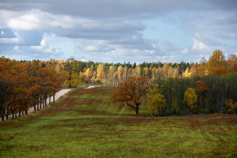 Empty Countryside Fields in Late Autumn Stock Photo - Image of dawn ...