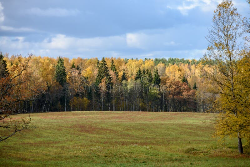 Empty Countryside Fields in Late Autumn Stock Image - Image of park ...