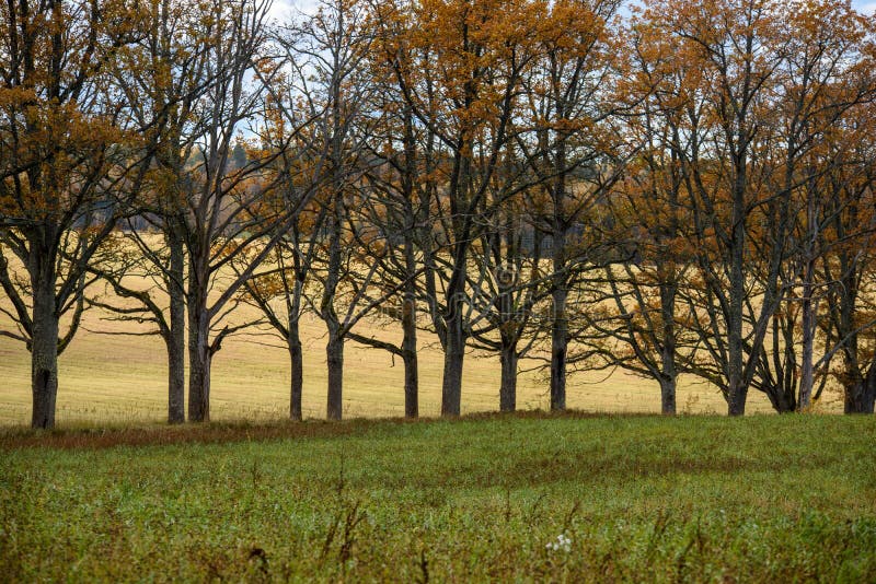 Empty Countryside Fields in Late Autumn Stock Photo - Image of dawn ...