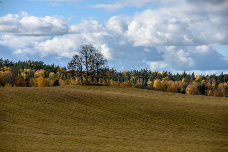 Empty Countryside Fields in Late Autumn Stock Photo - Image of empty ...