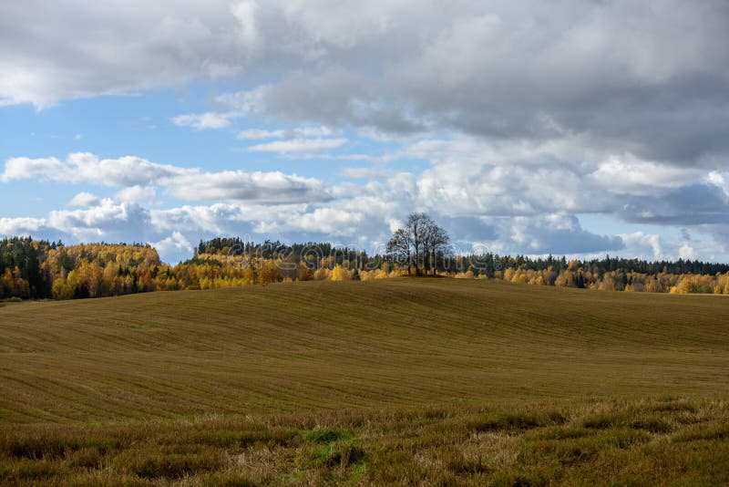 Empty Countryside Fields in Late Autumn Stock Photo - Image of country ...