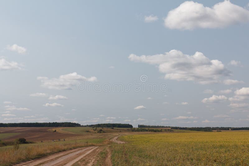 Empty Countryside Road through Fields Stock Image - Image of rural ...