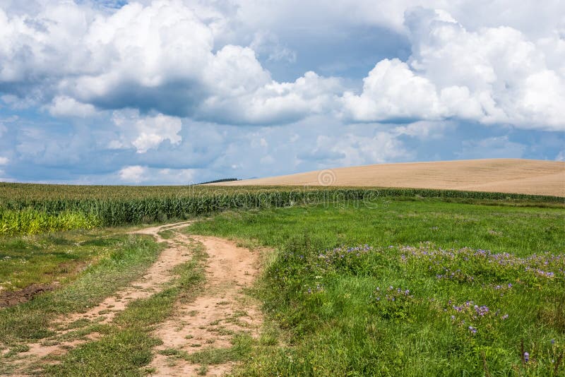 Empty Countryside Road through Fields Stock Photo - Image of farm ...