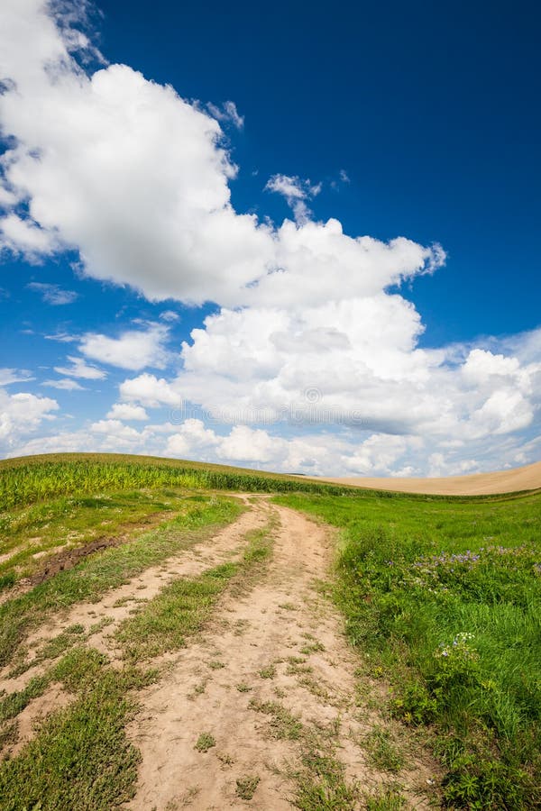Empty Countryside Road through Fields Stock Image - Image of summer ...
