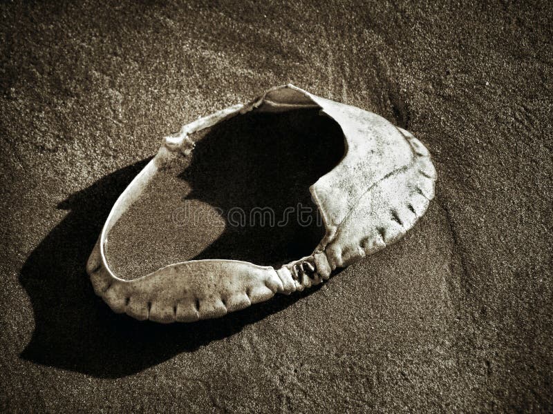 Empty Crab Shell - Toned stock image. Image of marine - 77847959