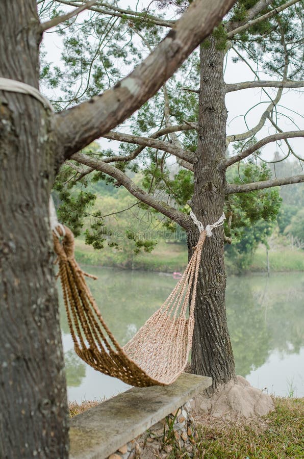 Empty Cradle Hanging on Tree in the Forest Stock Image - Image of ...