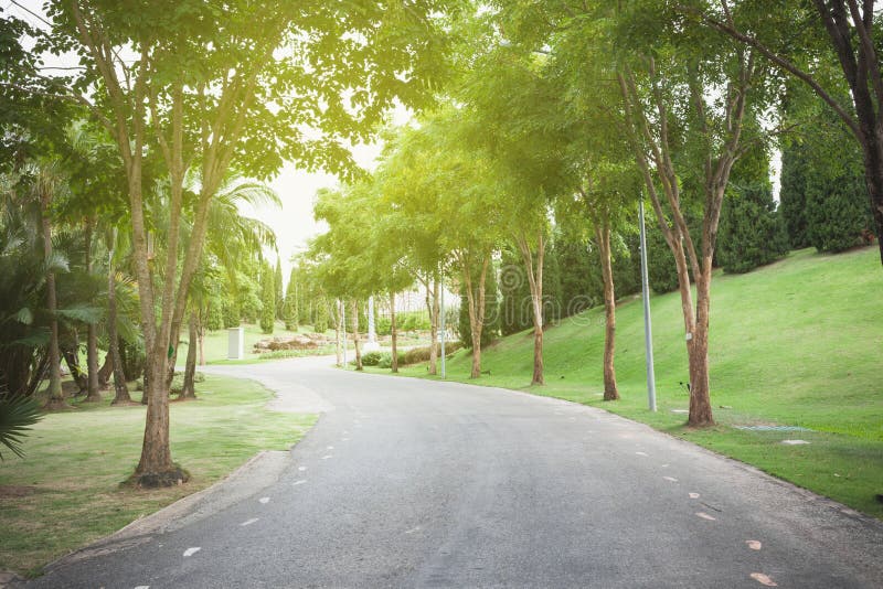 Empty Curved Road with Natural Trees. Stock Image - Image of dramatic ...