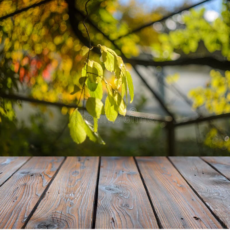 Empty Dark Wooden Table with Backlit Tree Branch Hanging Over it Stock ...