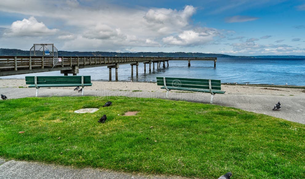Empty Dash Point Pier stock image. Image of structure - 382728819