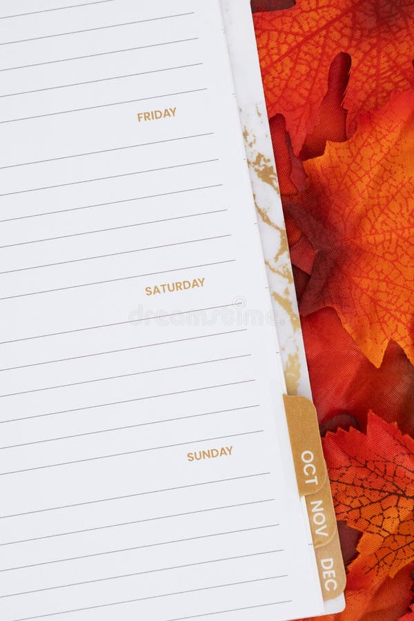 Fall leaves Border stock photo. Image of produce, object - 6393316