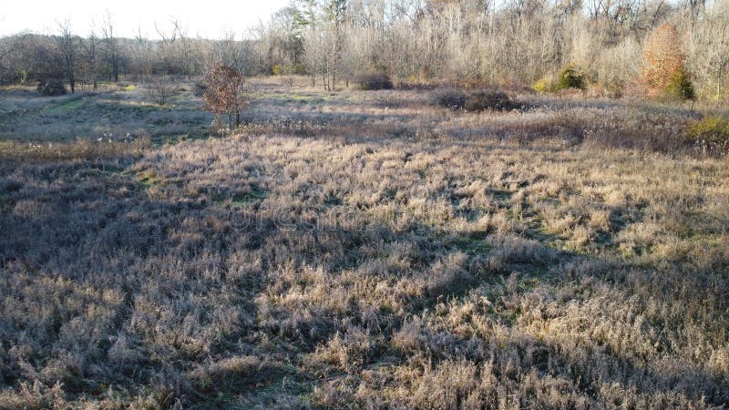 128 Sparse Grasses Stock Photos - Free & Royalty-Free Stock Photos from ...