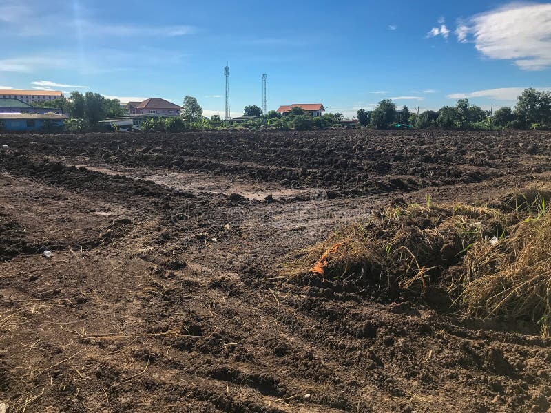 Dirt Field on Sunny Day at Thailand Stock Photo - Image of farmland ...