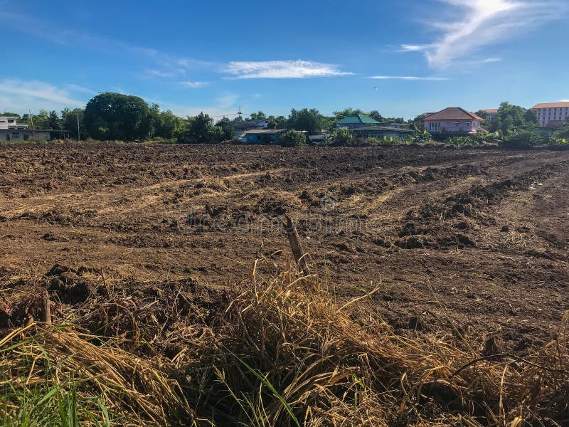 Dirt Field on Sunny Day at Thailand Stock Photo - Image of sunny, empty ...