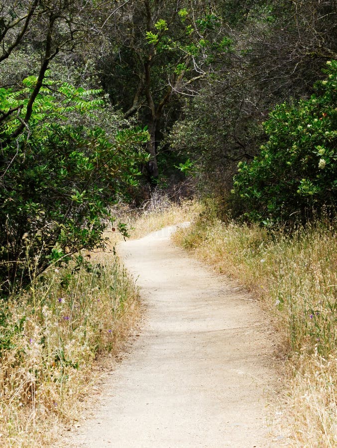 Empty Dirt Footpath with Grass and Trees Stock Photo - Image of ...