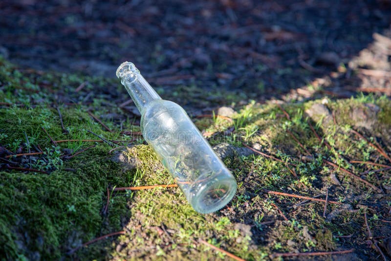 Empty Discarded Glass Bottle Lies on a Forest Floor Stock Photo - Image ...