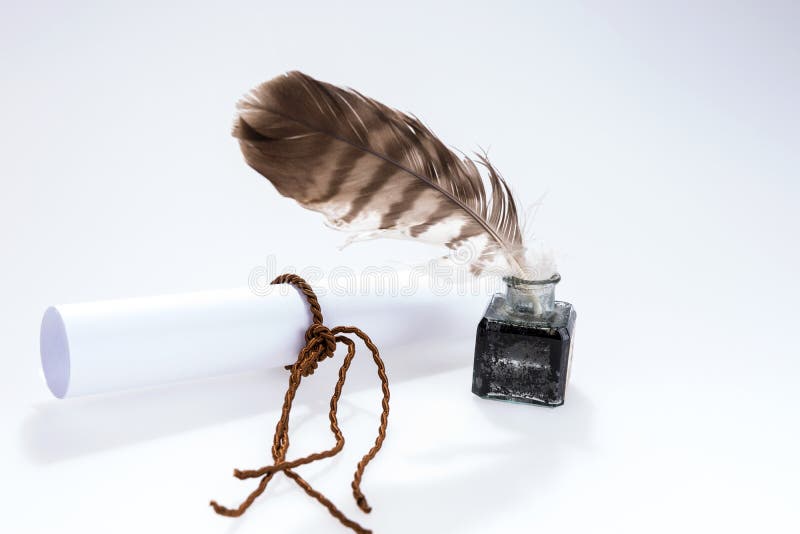 Writing feather stock image. Image of pewter, classic - 7576879