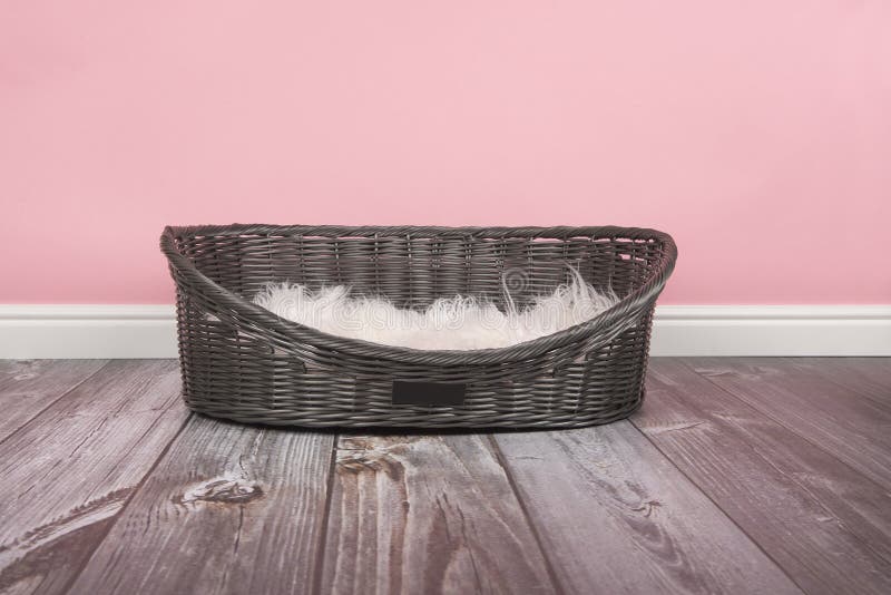 Empty Dog Bed on a Pink Background Stock Photo - Image of object ...