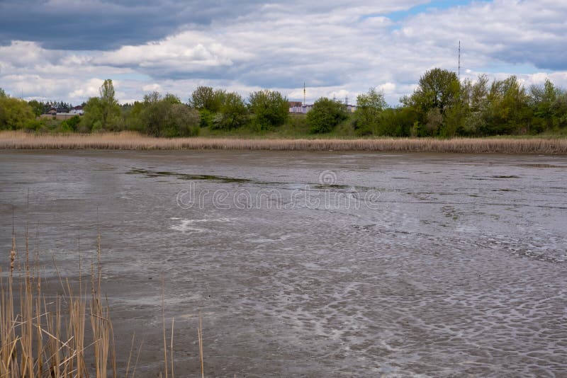 Empty and drained pond. stock image. Image of dirt, environment - 182744843