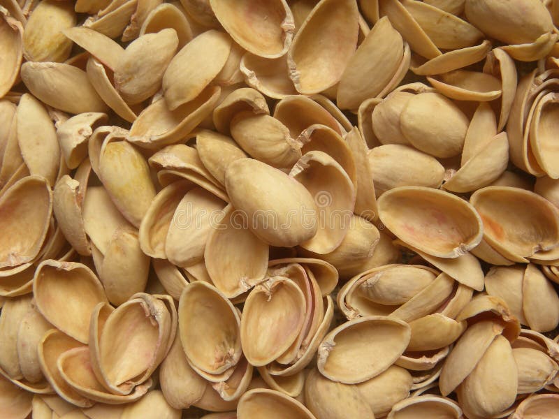 Beige Color Empty Dried Pistachio Shell Stock Photos - Free & Royalty ...