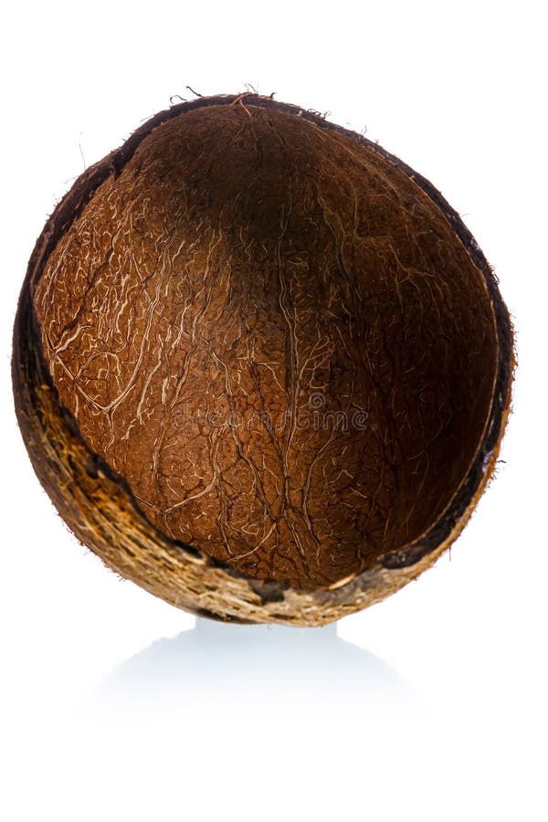 Empty Dry Coconut Shell Isolated on White Background Stock Image ...