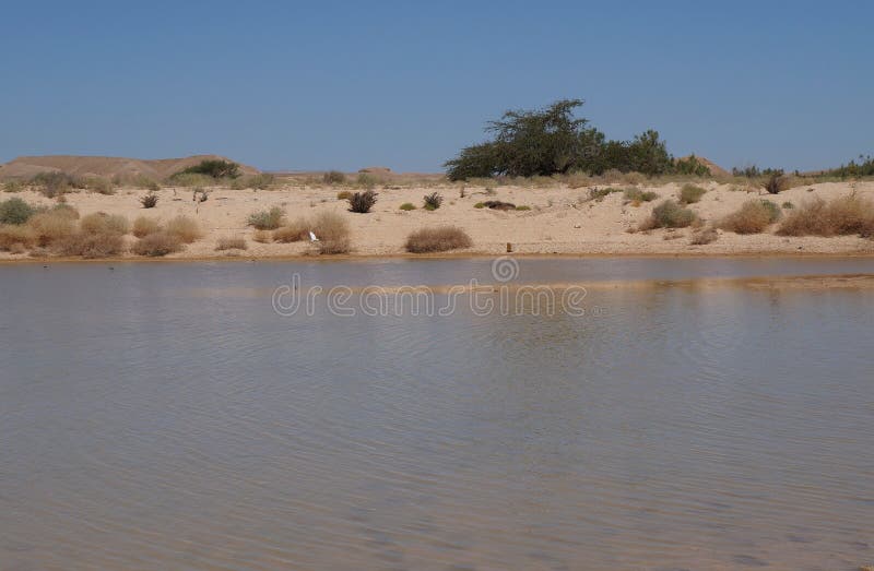 Almost Empty Reservoir for Water in South Israel Stock Image - Image of ...