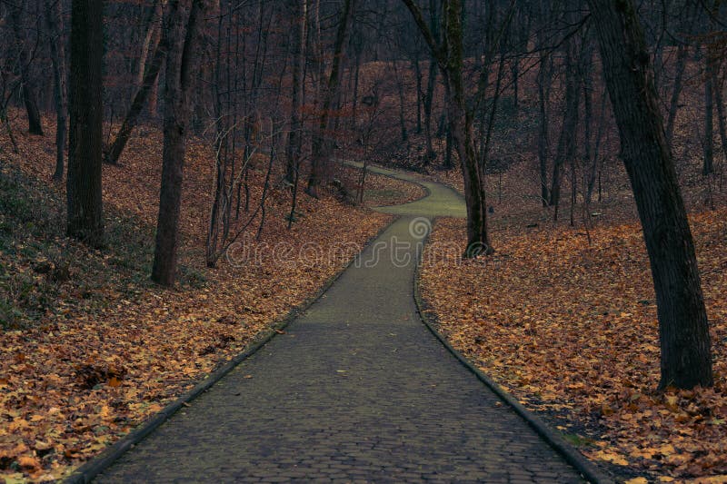 Empty Dusk October Fall Season Park without People Here Brown Color of ...