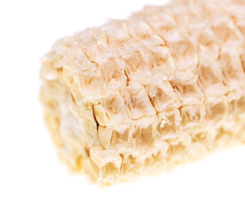 913 Empty Husk Photos - Free & Royalty-Free Stock Photos from Dreamstime