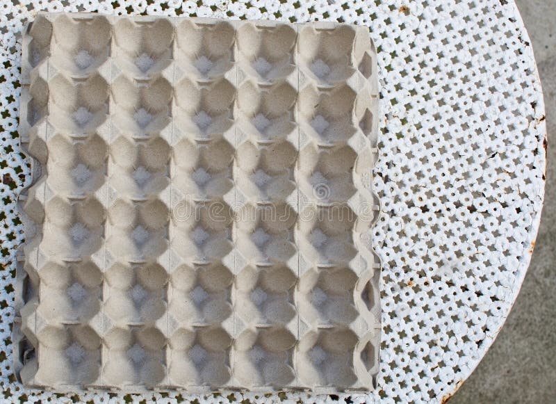 Empty egg box stock photo. Image of carton, farm, eggbox - 114818004