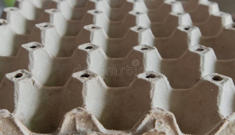 Empty egg carton stock image. Image of ingredient, empty - 306783219
