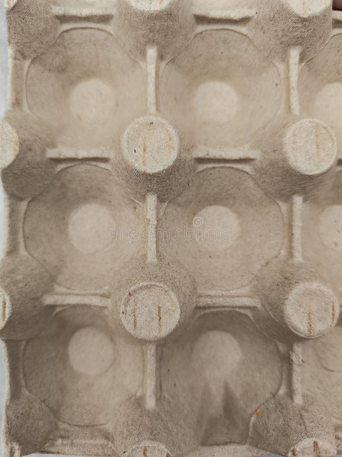 Empty Egg Carton Showing Eco Friendly Packaging for Fresh Produce ...